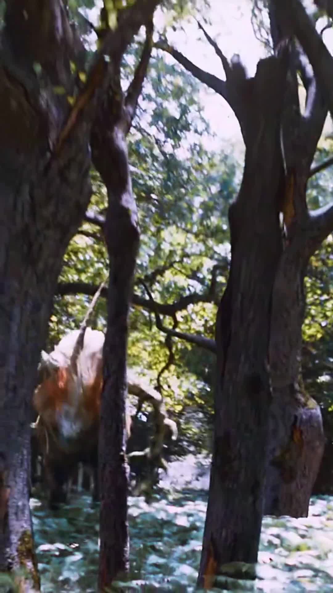 Cattle beast fighter