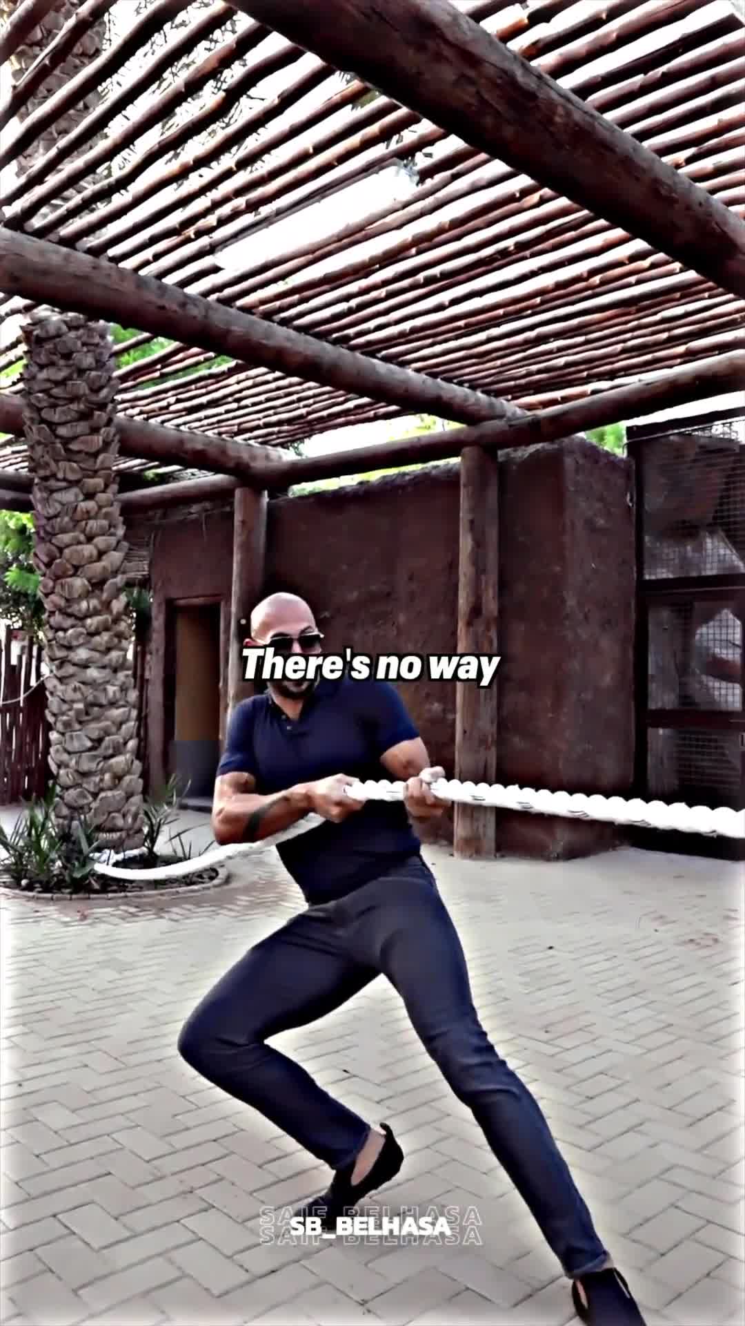 Andrew Tate fights a Tiger