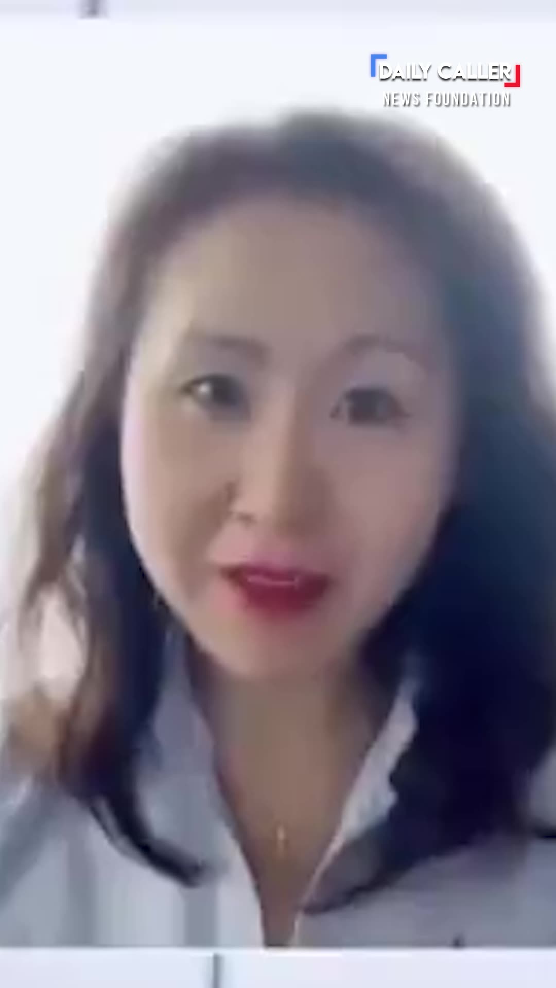 Lindy Li Questions How $2.5 Billion Was Spent Between Harris Campaign ...