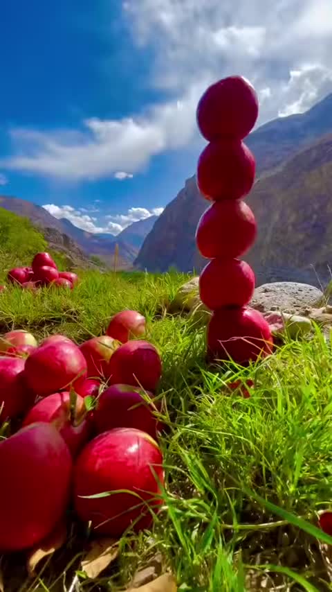 The most Biggest red apples - SKARDU Red Delicious