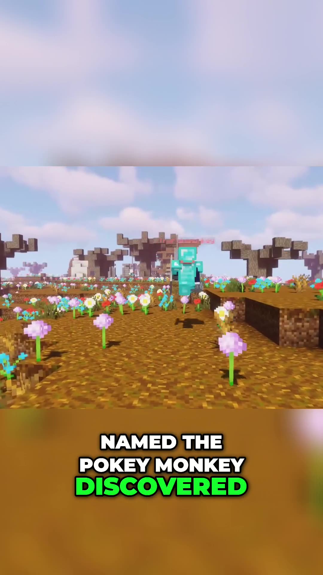 The Secret 5th Island: A Mysterious Discovery in Minecraft