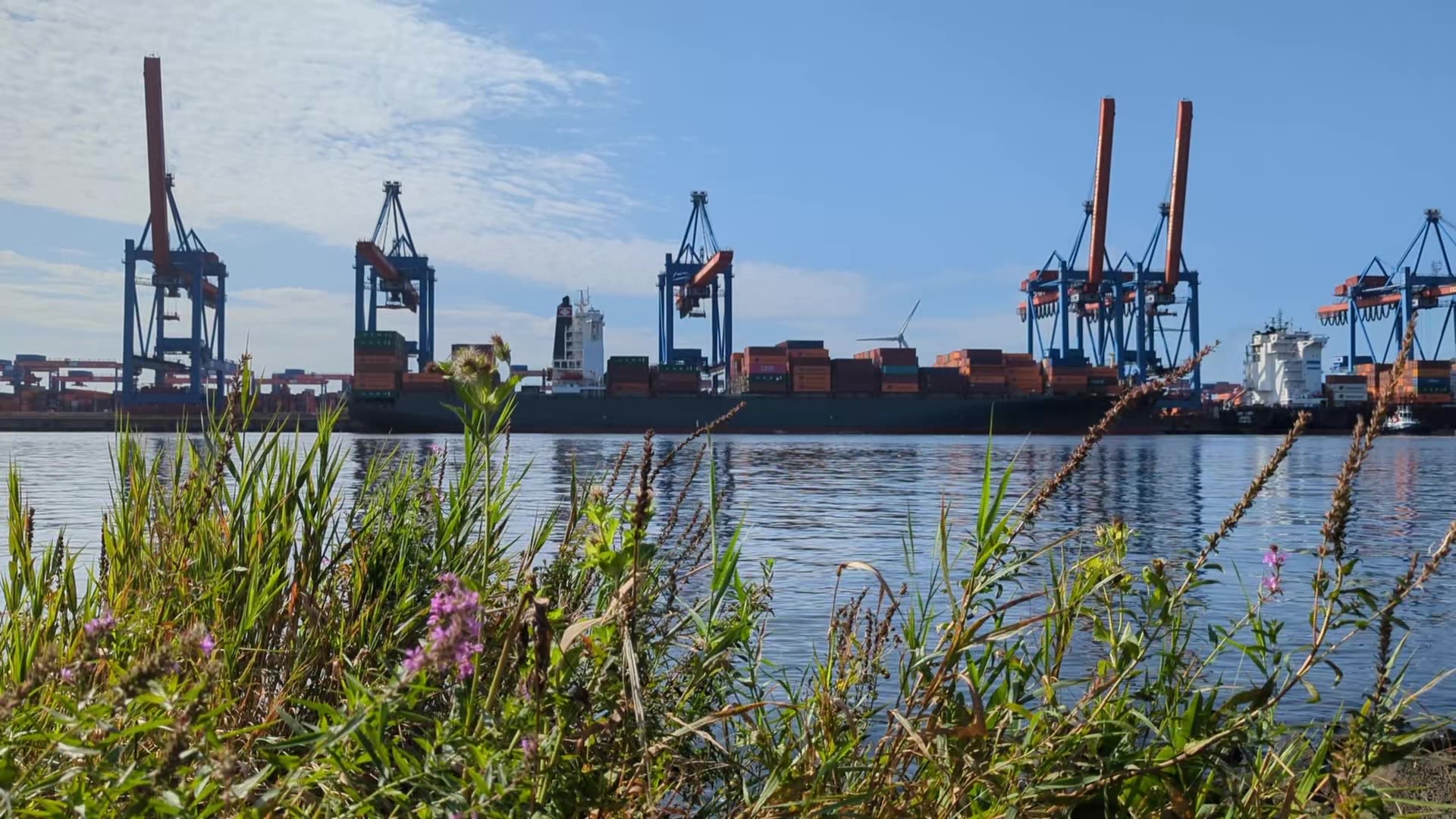 [Ambient Recording] HHLA Container Terminal Altenwerder - 001