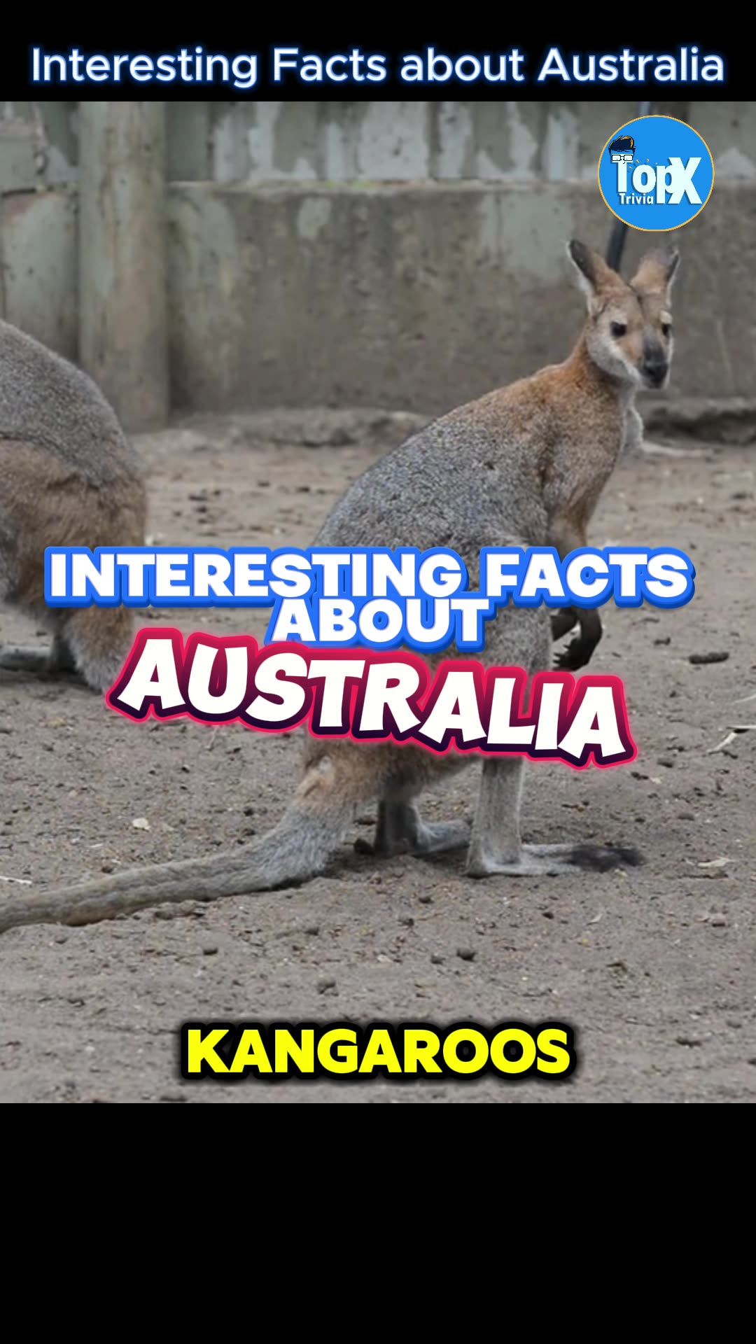 Interesting Facts About Australia