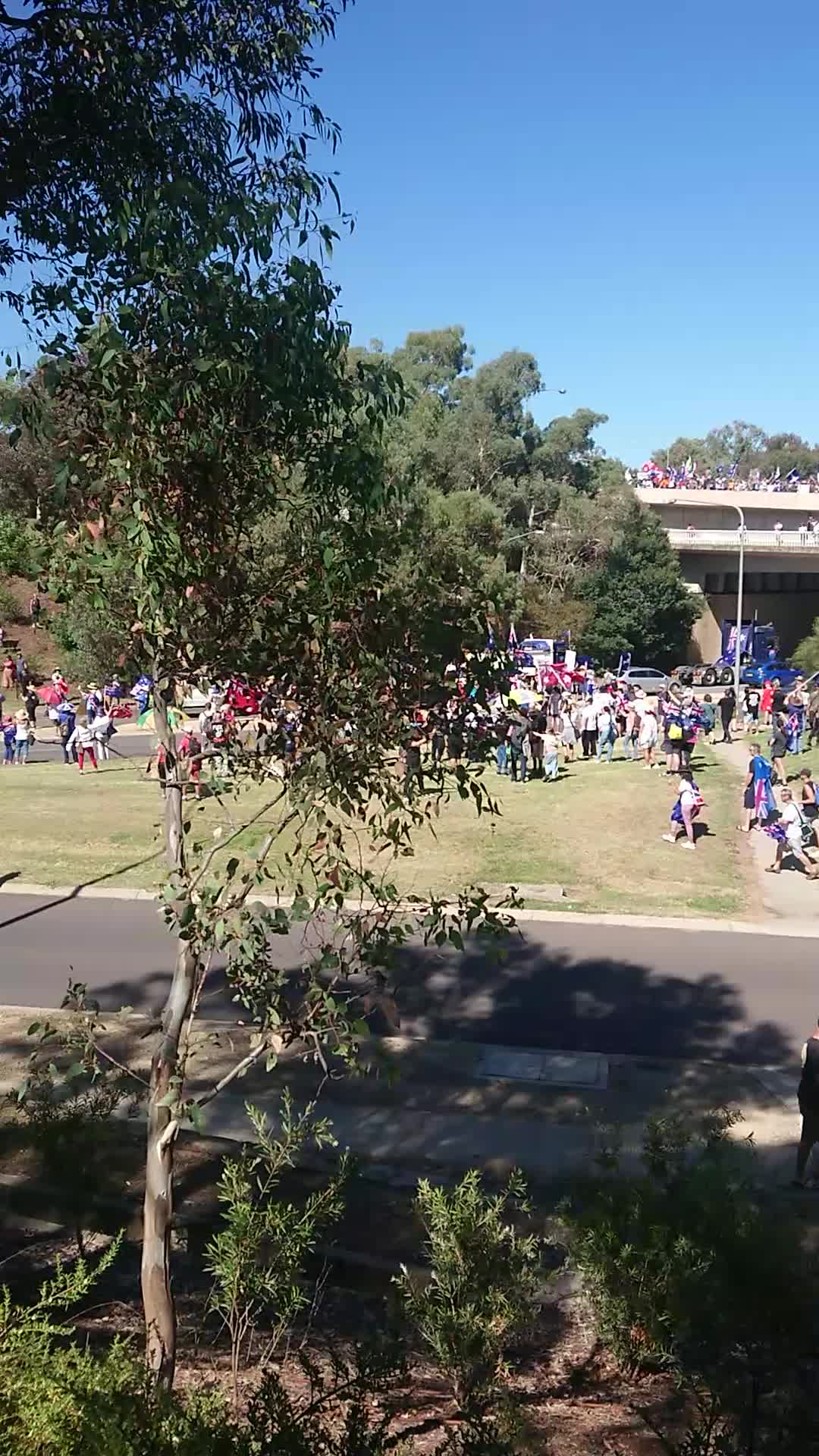 Canberra Freedom Convoy 2022 Truckies