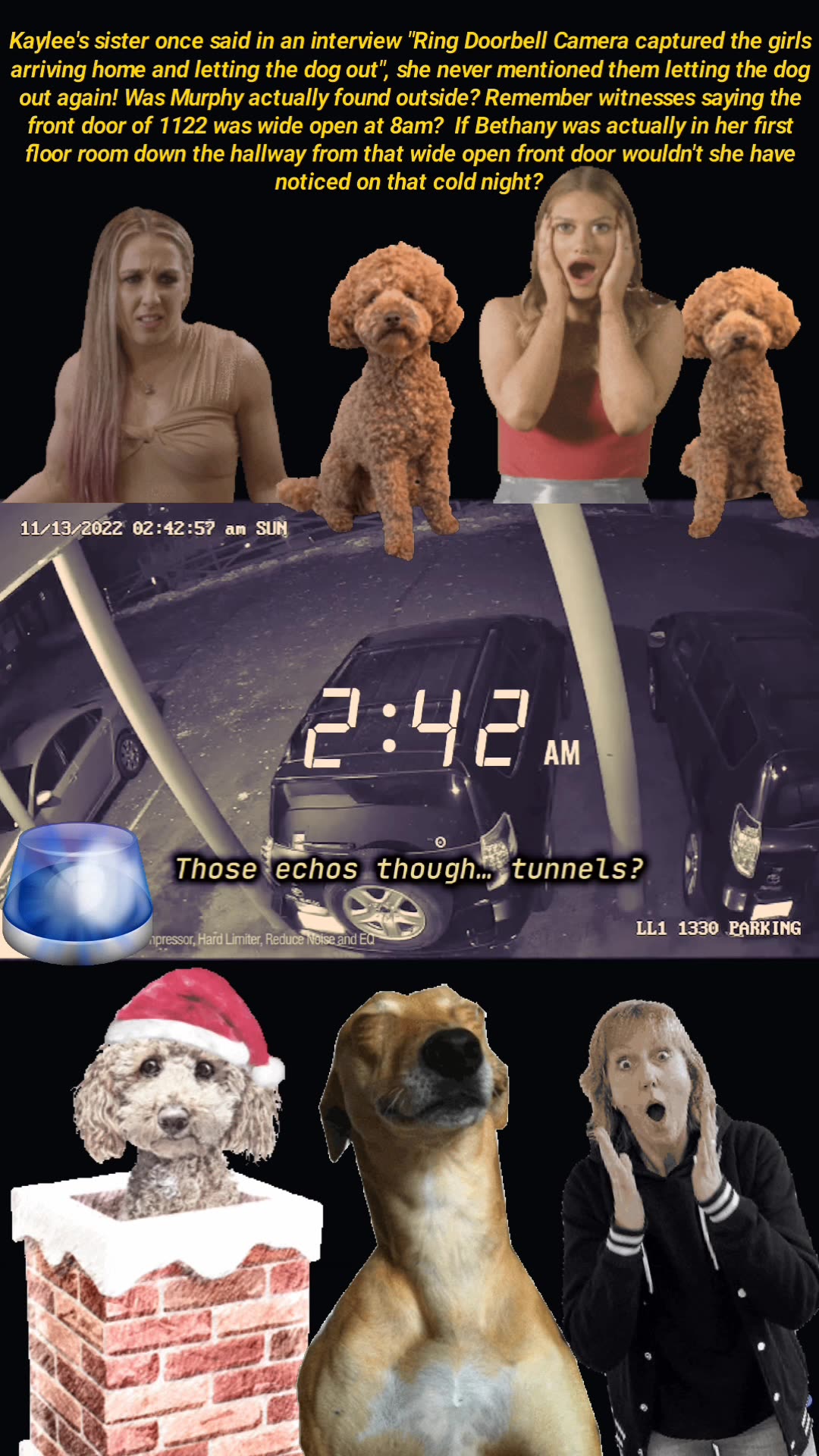 Idaho Four shorts true crime wtf tiktok short video surveillance footage