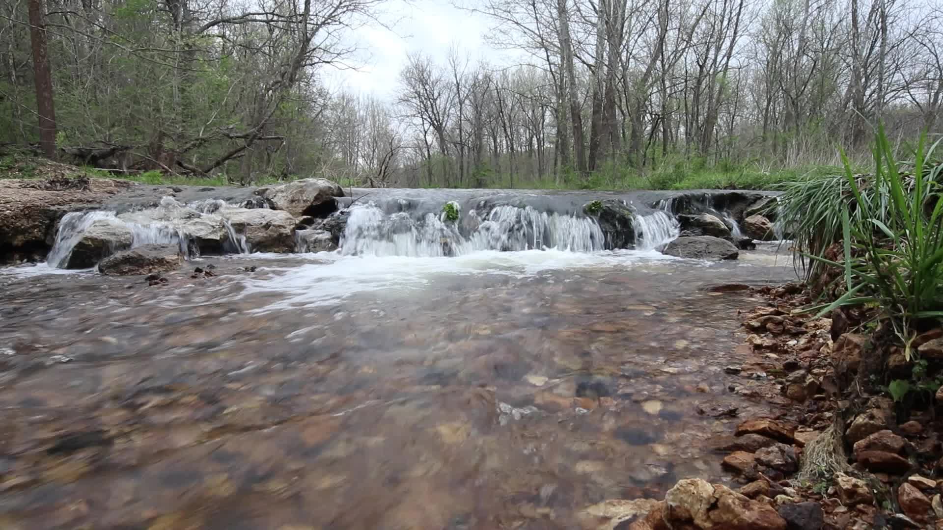 Fiery Fork Creek in Fiery Fork Conservation Area