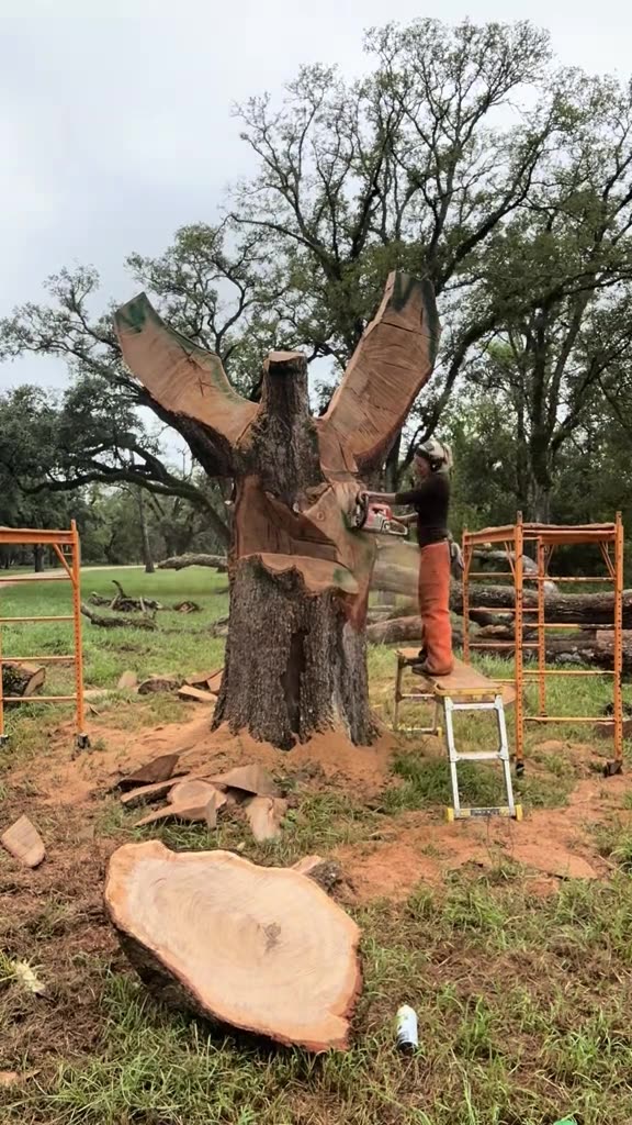 Chainsaw Wood Sculpture of Columbaire Hand Throwing Pigeon