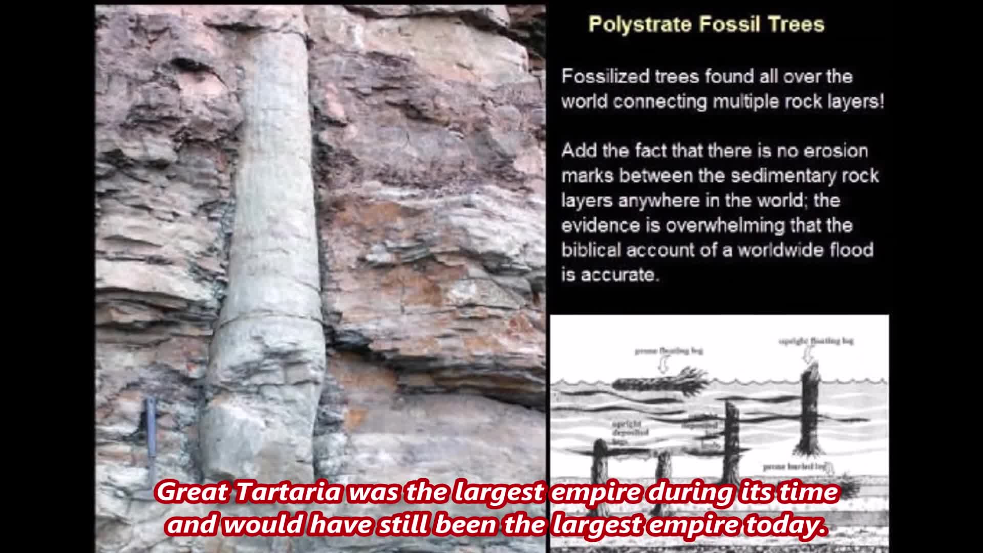 Mud Flood - Tartaria - Giants - Books - Skeletons - Megaliths - Foot ...