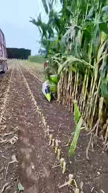 Farming made easy🌾