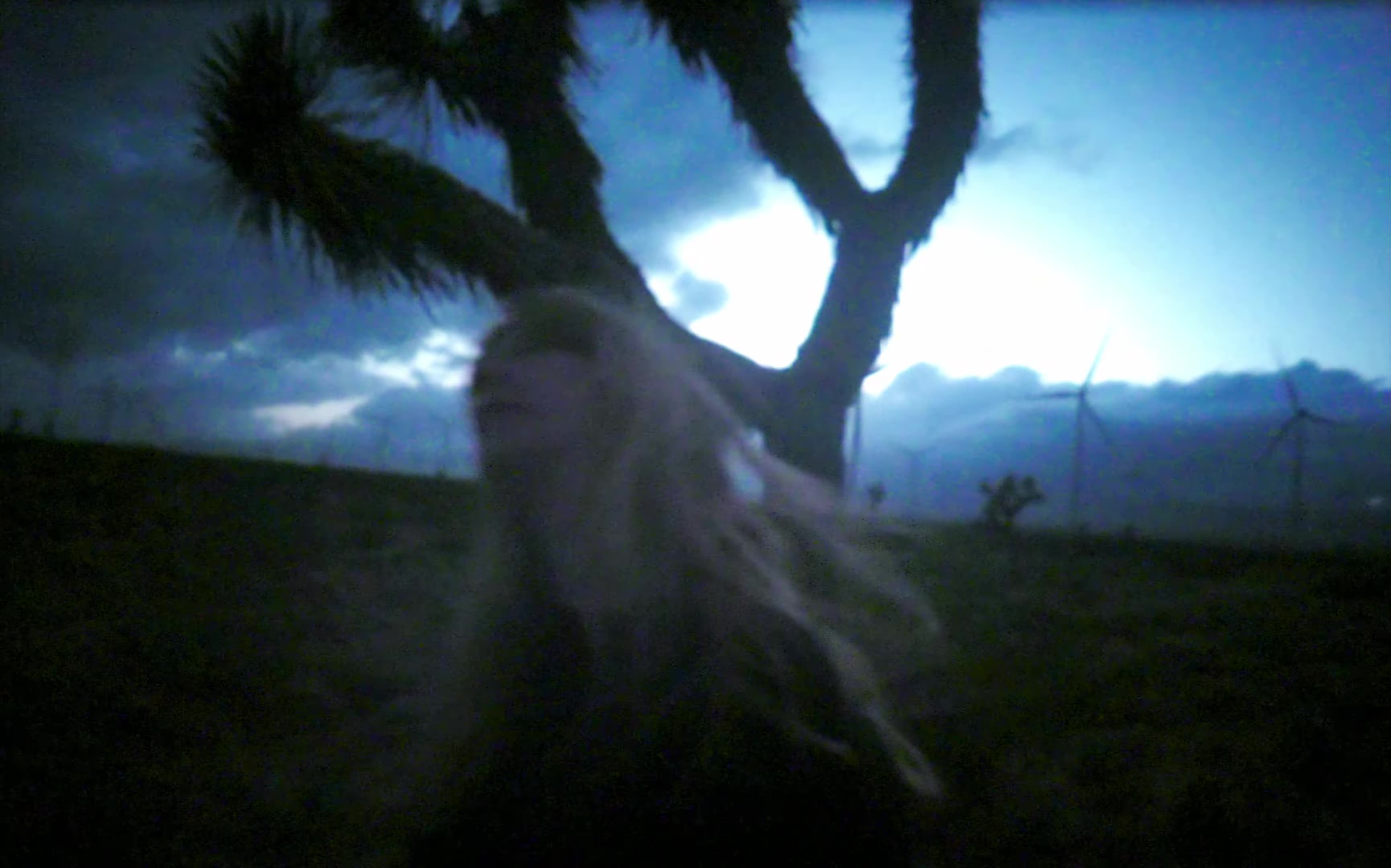 Slow Pulp - Slugs (Music Video) [2023]