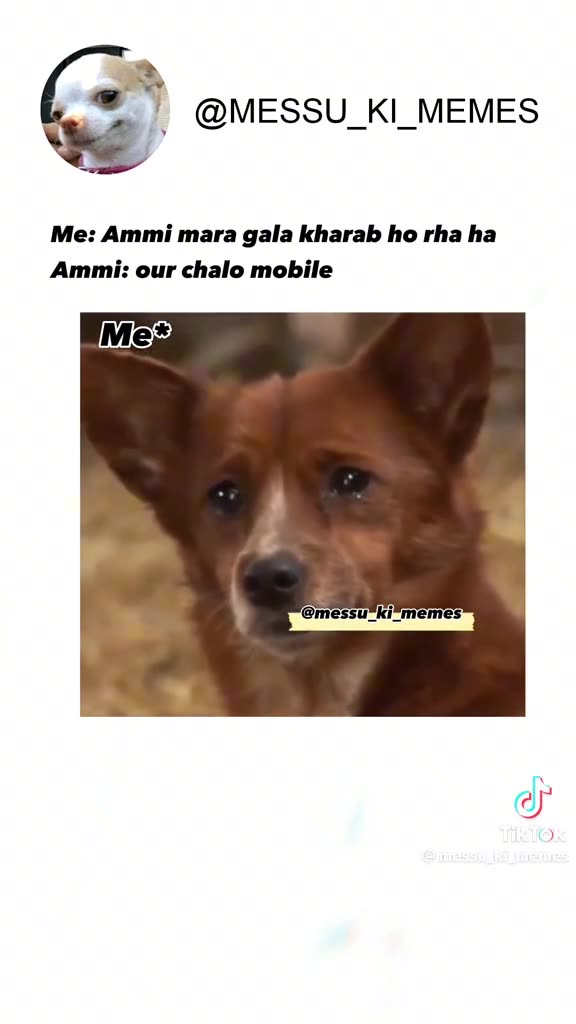 So funny memes 😂😂 oops memes😂