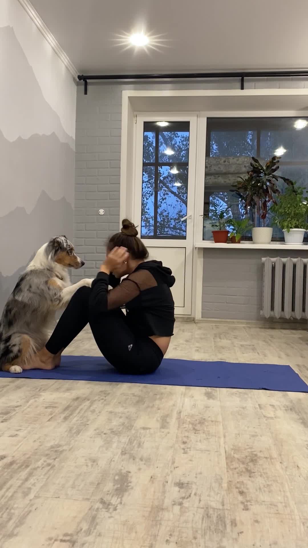 Pup Works Out with Its Person