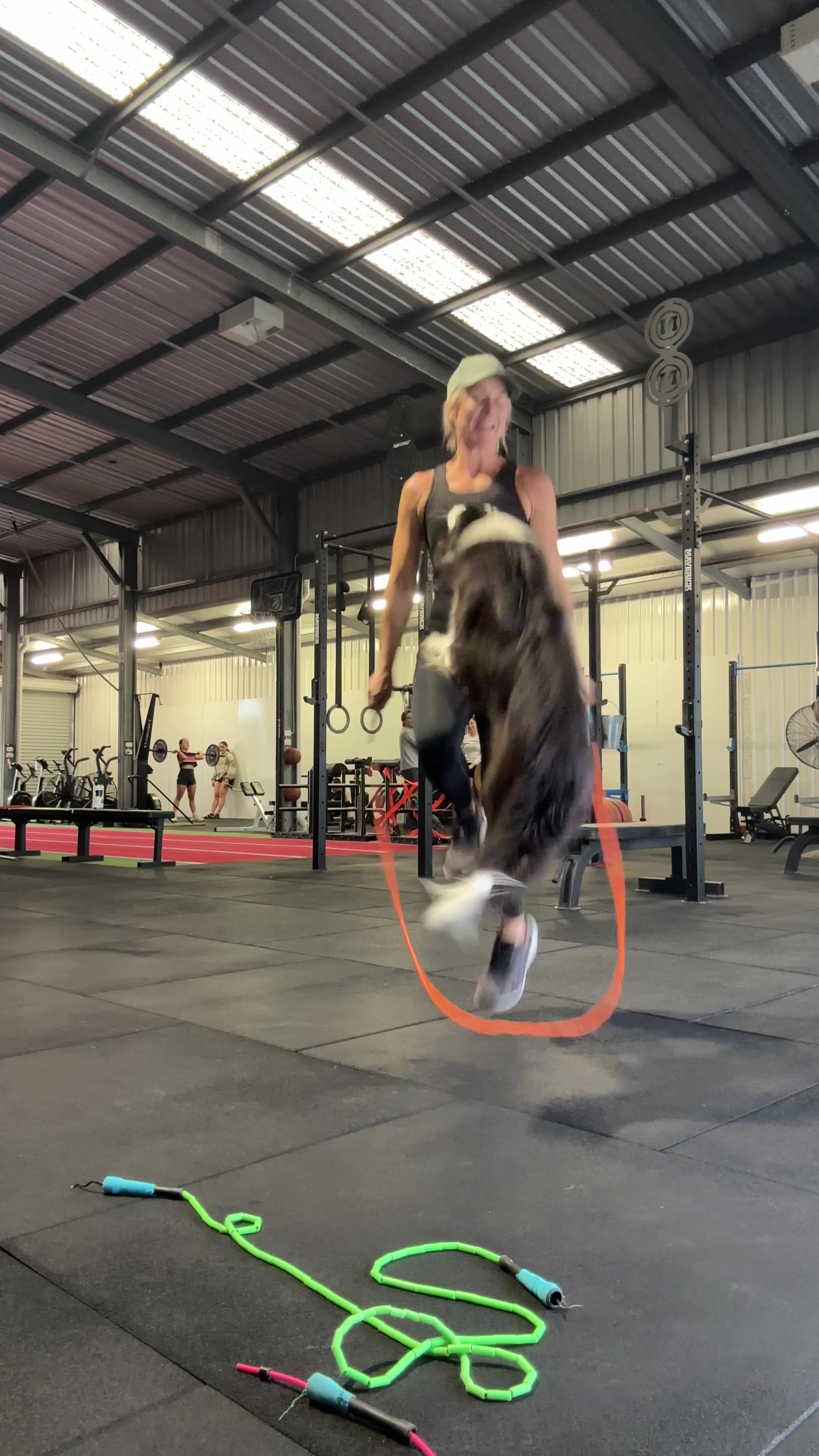 Border Jumps Rope With Owner