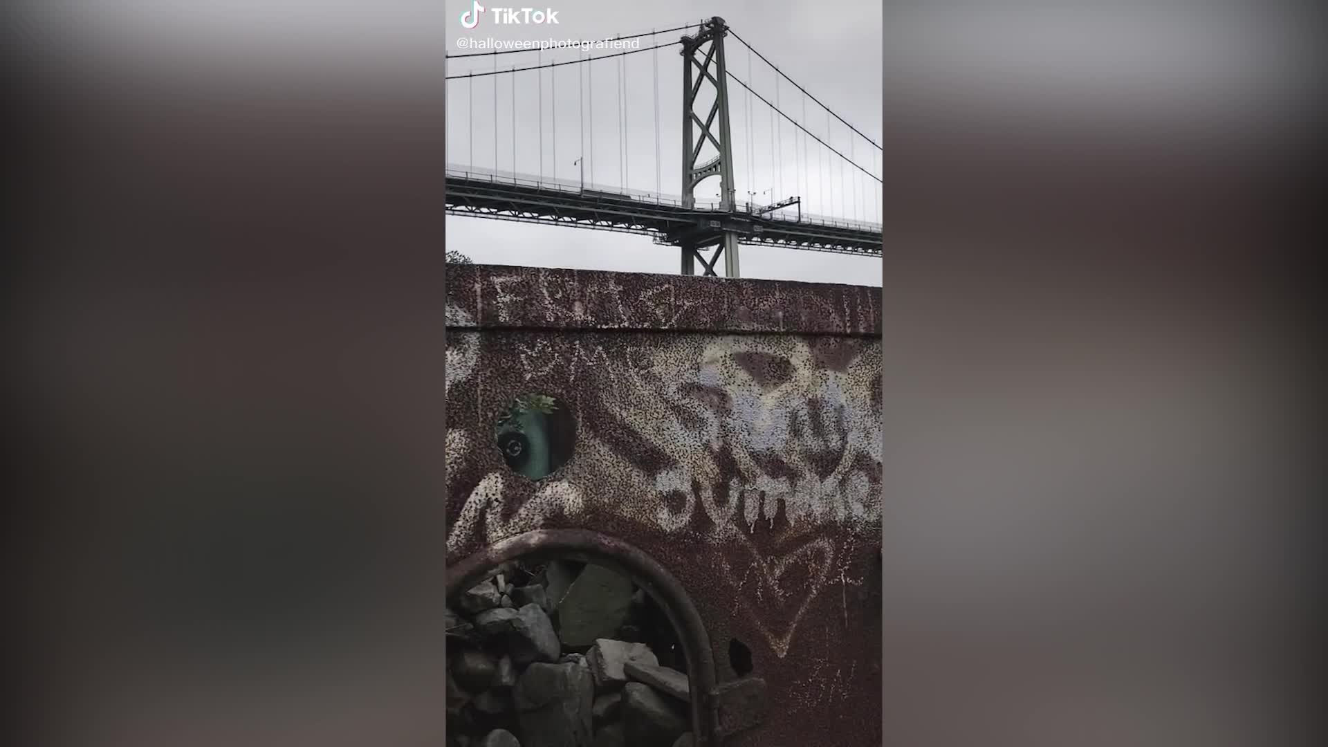 Daisy Daisy creepy TikTok trend PART 173