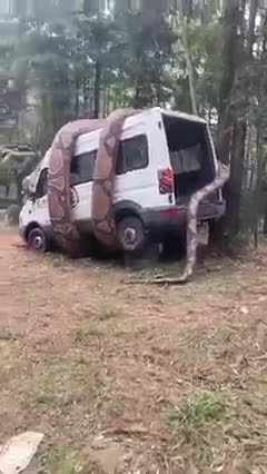 python decided to eat the car