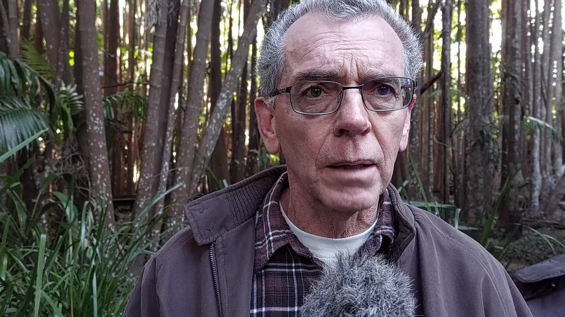 The Thoughts Of Steve