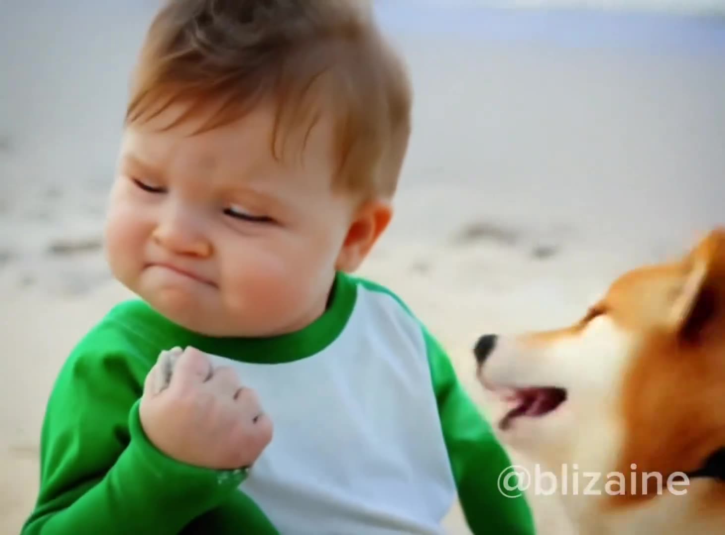 Top Notch Meme Mashup