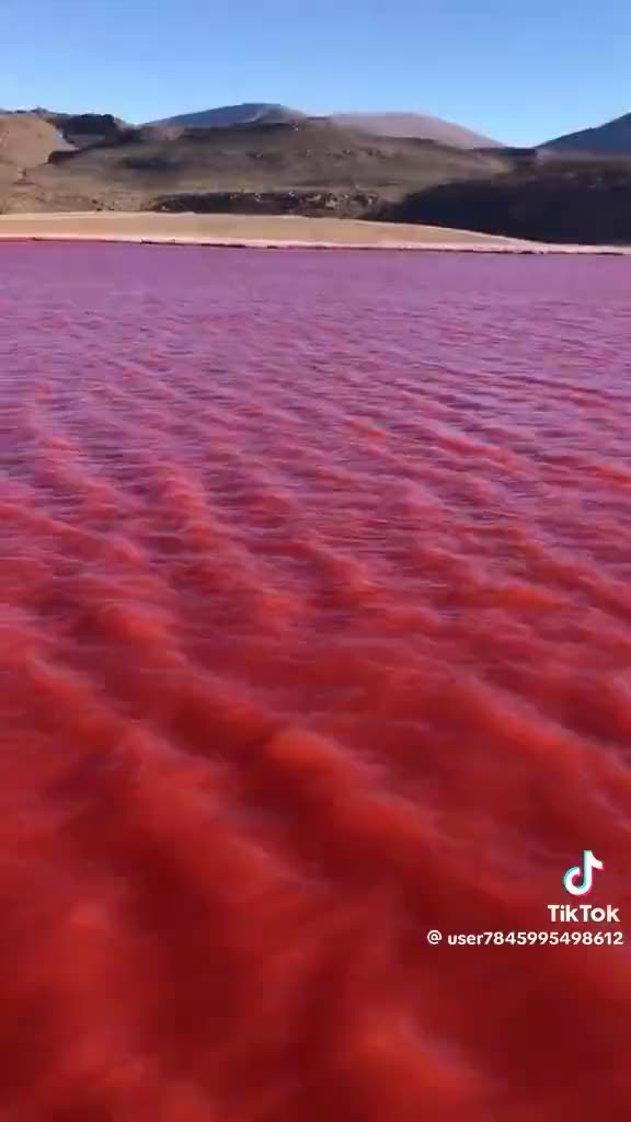 October 6th 2023 And the Nile River turns blood red