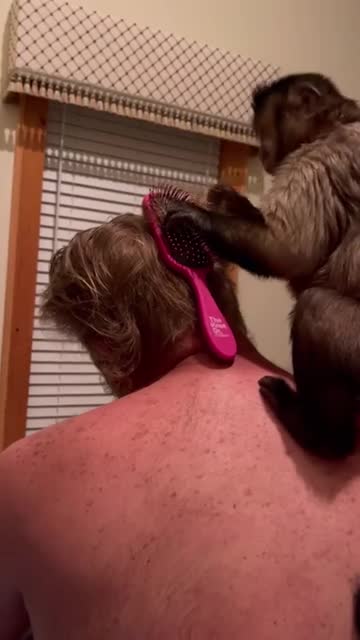 Start your Day With Gaitlyn Rae!!! Little bedtime shenanigans🐒💕🛌