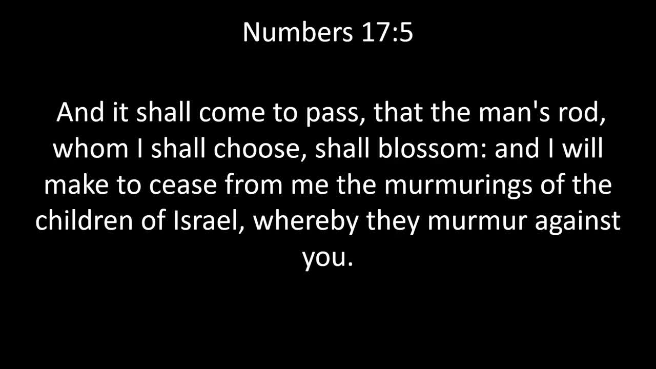 KJV Bible Numbers Chapter 17