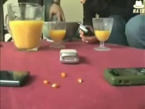 Cellular Phones Cook Your Brain - Literally | 2000s Video Shows Cell ...