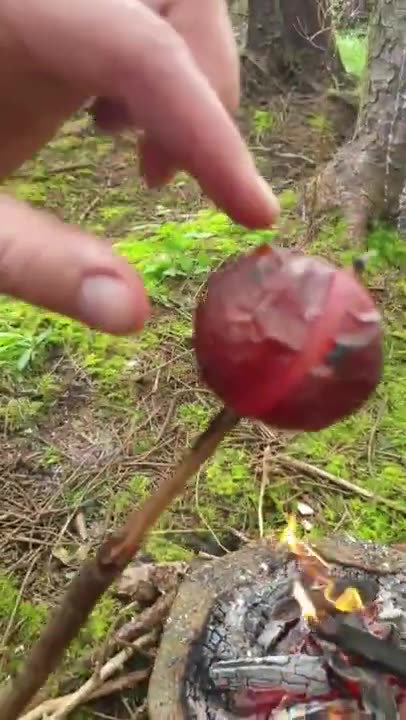 Peeling Tomatoes Forest Style primitive cooking // Survival skills ...