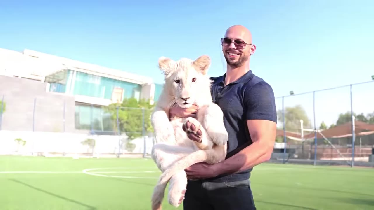 "I win. No tears." Andrew Tate RELEASES STORM EDITZ 🔥🔥🔥