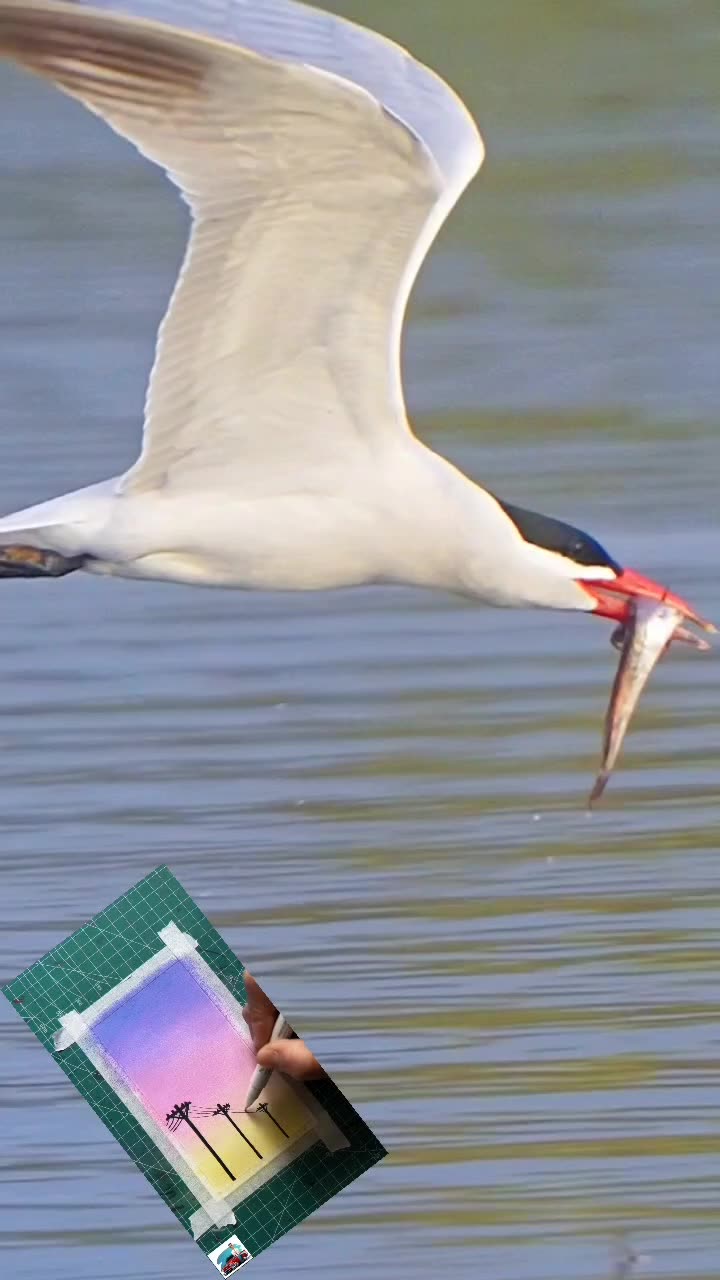 original wildlife photography wonderful video. #rumble #reels #animals