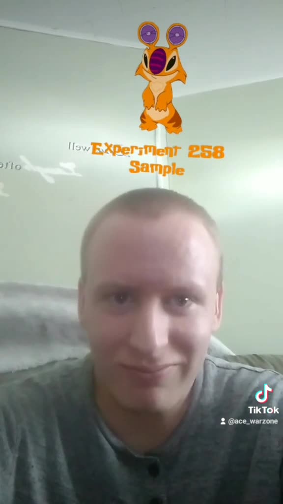 Lilo and stitch filter