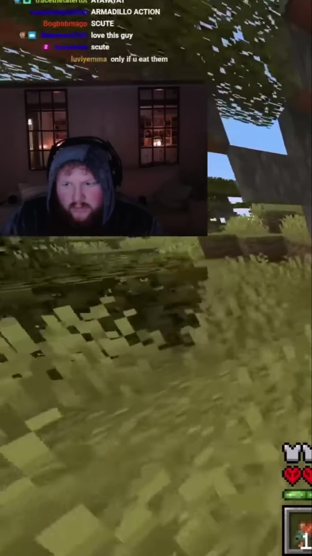 Unveiling the Armadillo in Minecraft: Drops, Armor, and Tips to Upgrade!