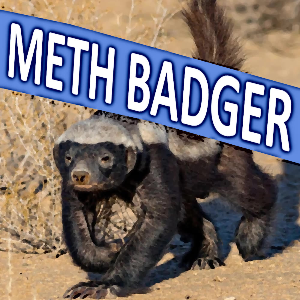 METH BADGER