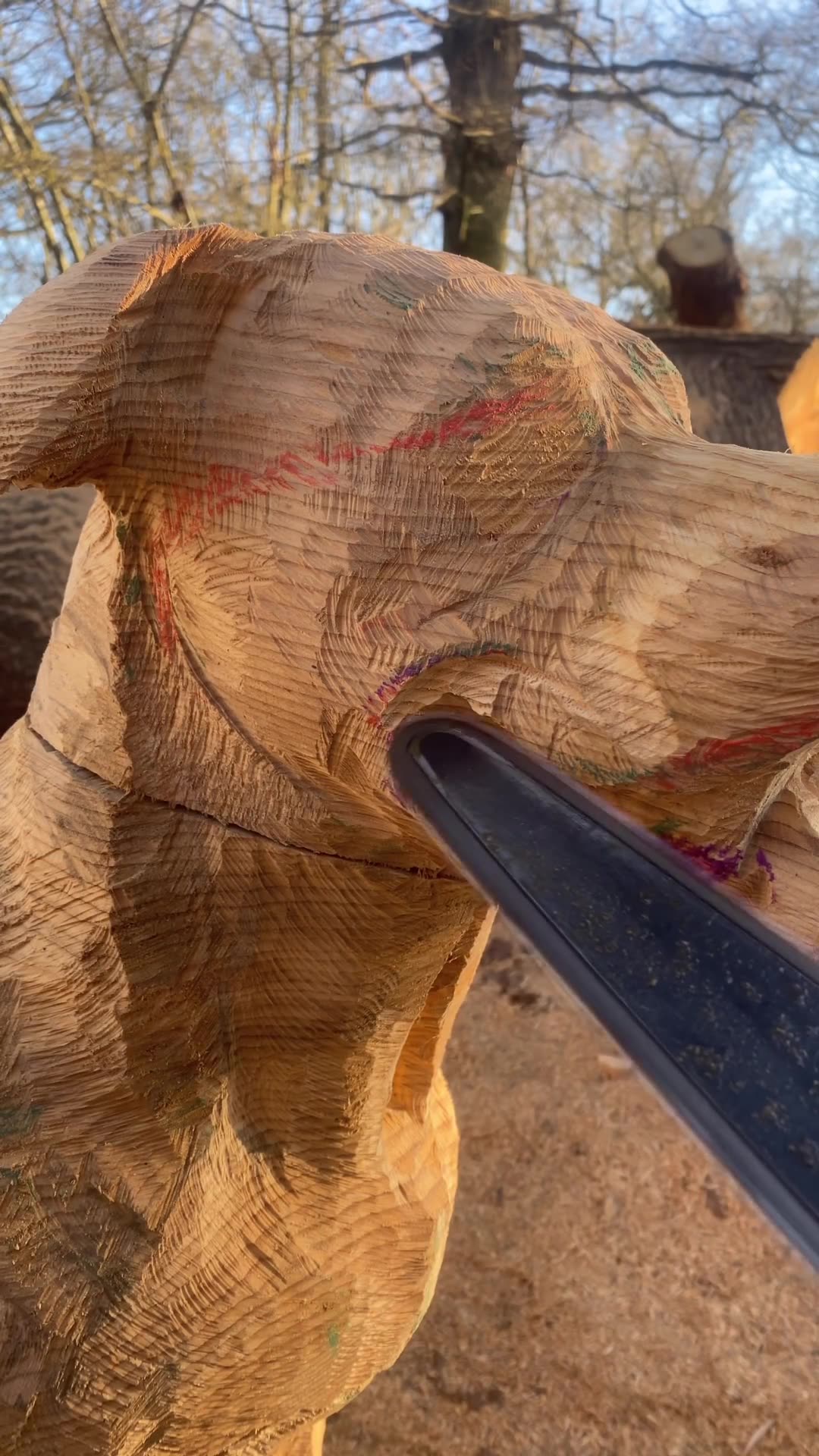 Sculpting a life sized Rottweiler