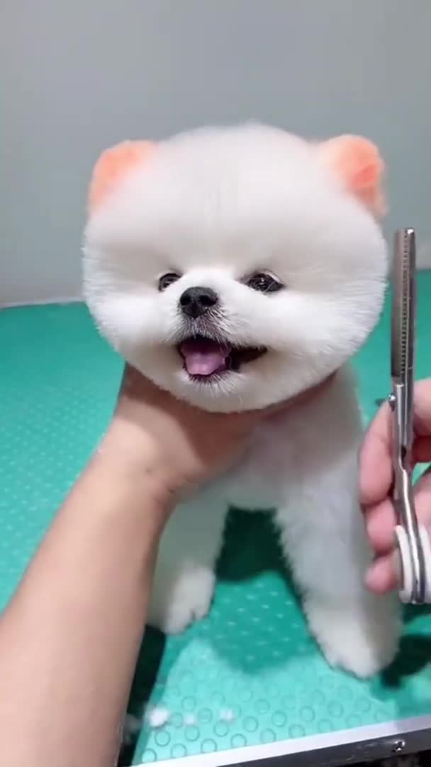 Cute Ketty new hairstyle. Looking so beautiful