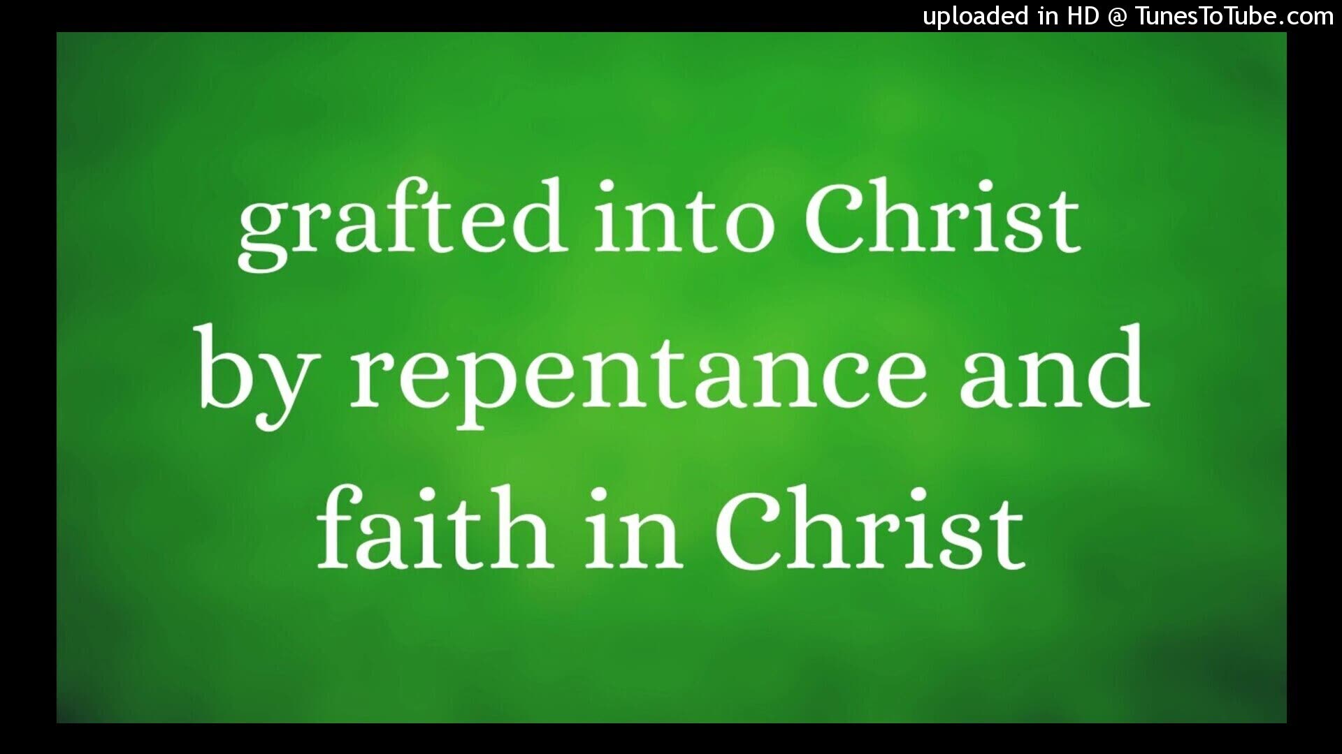 we're grafted into Christ by repentance and faith in Christ