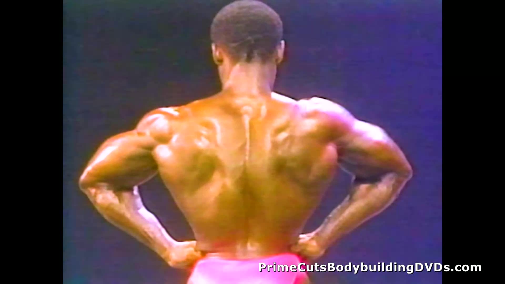 1996 MuscleMania - Classic Bodybuilding Contest