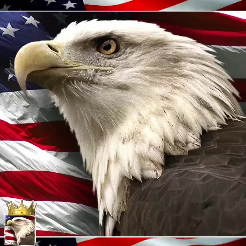 A Matthew Thomas Crooks & FBI Link? 👀🍿Where’s Matthew Yearick?