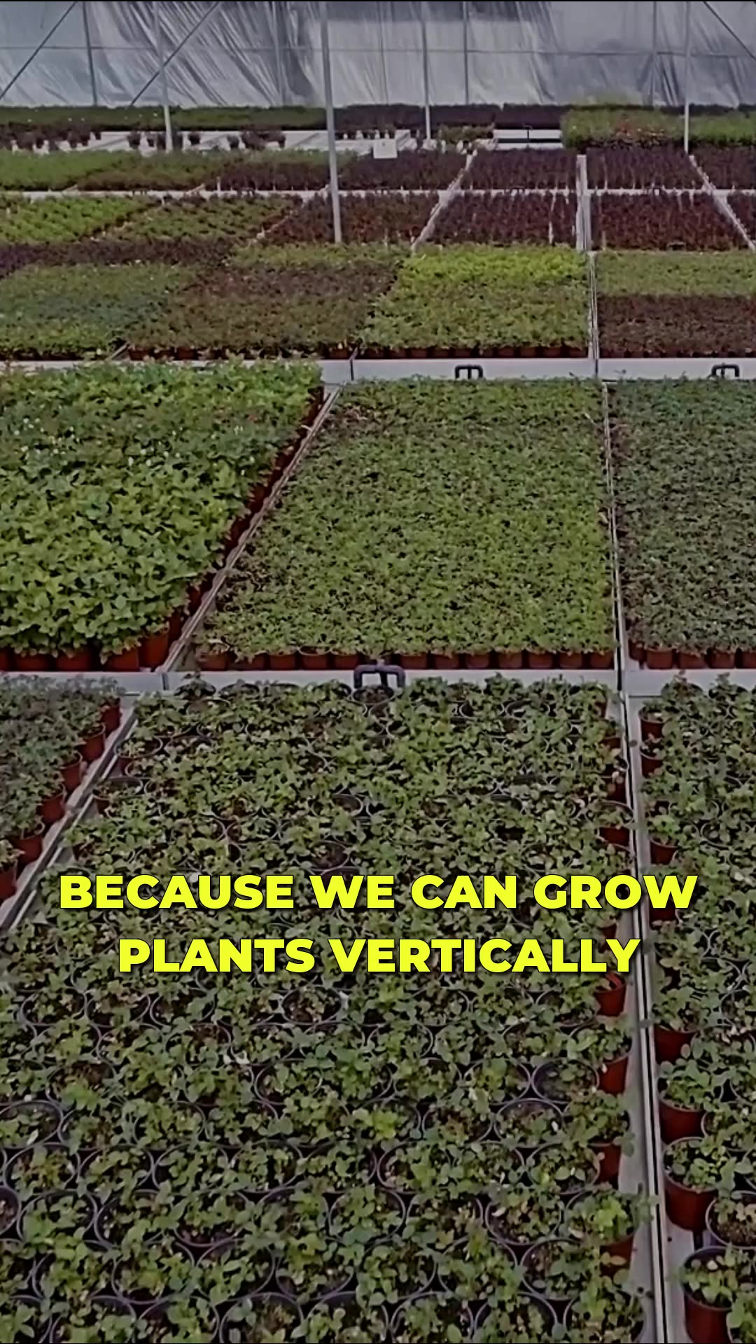 🌱 Vertical Farming: Elevating Agriculture With Aeroponics 🚀 🌱 Vertical Farming: Elevating Agriculture With Aeroponics 🚀