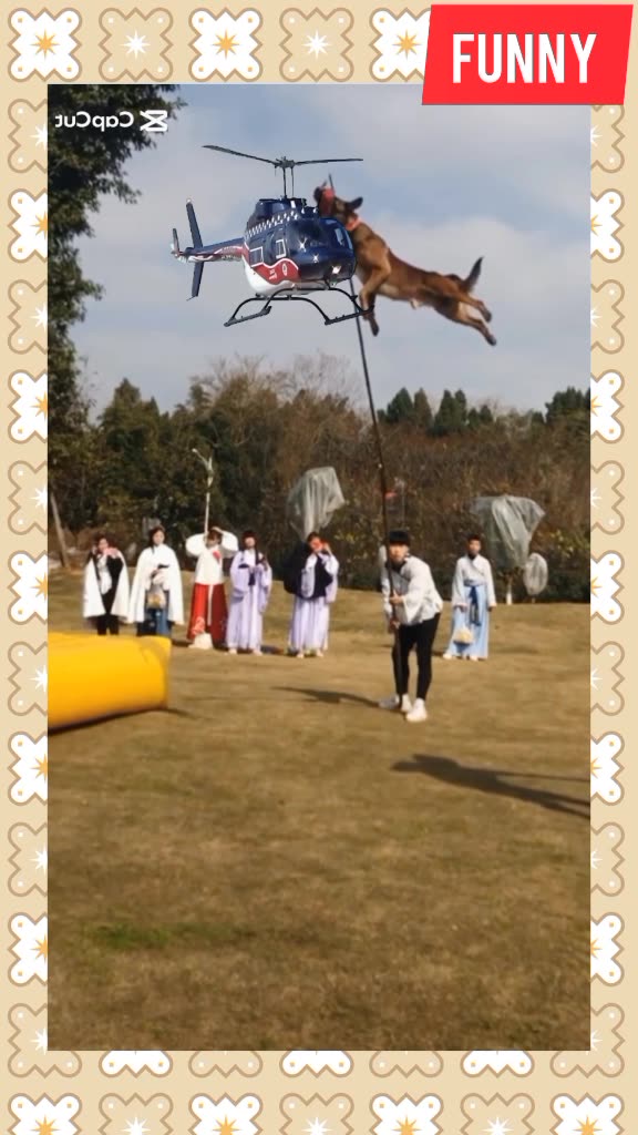 Helicopter and Dogs funny moments, part 7 🚁😎🐕‍🦺😱 #viralshorts