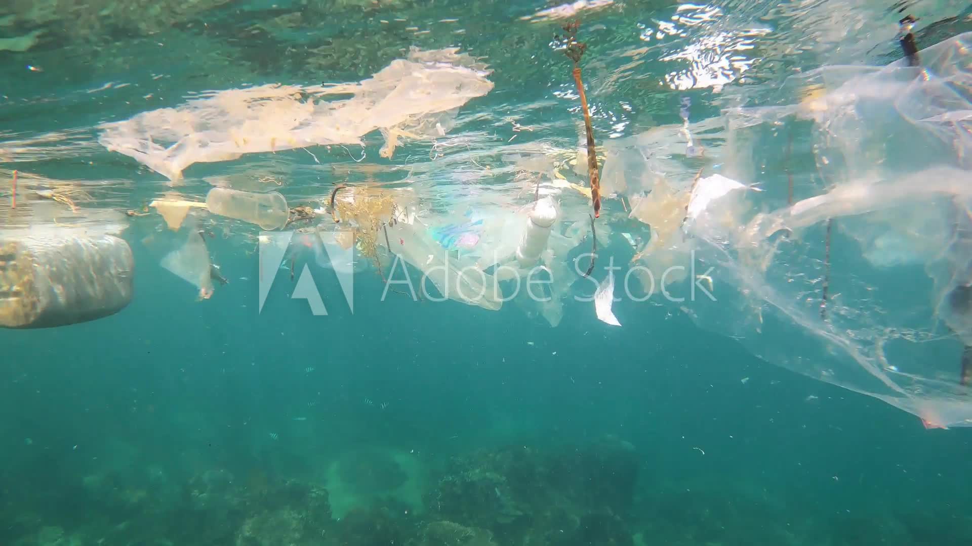 Scientists Discover Deadly Pool At Bottom Of Ocean That Kills Anything ...