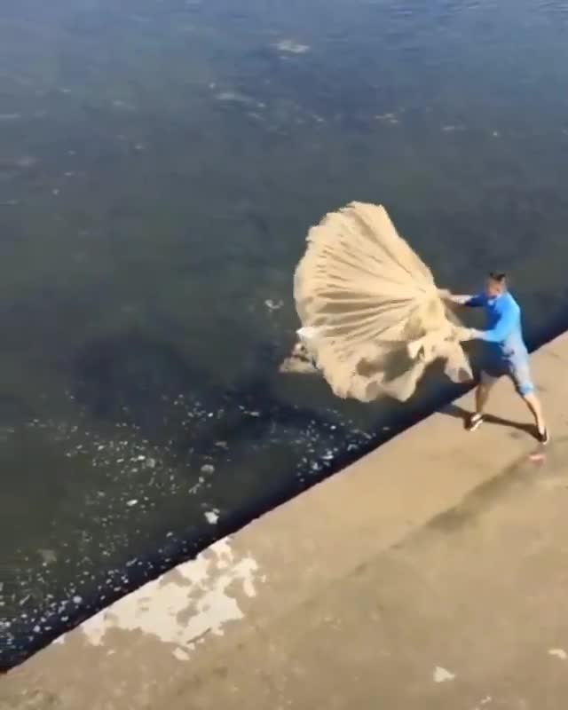 This is a beautiful and charming water-dwelling species