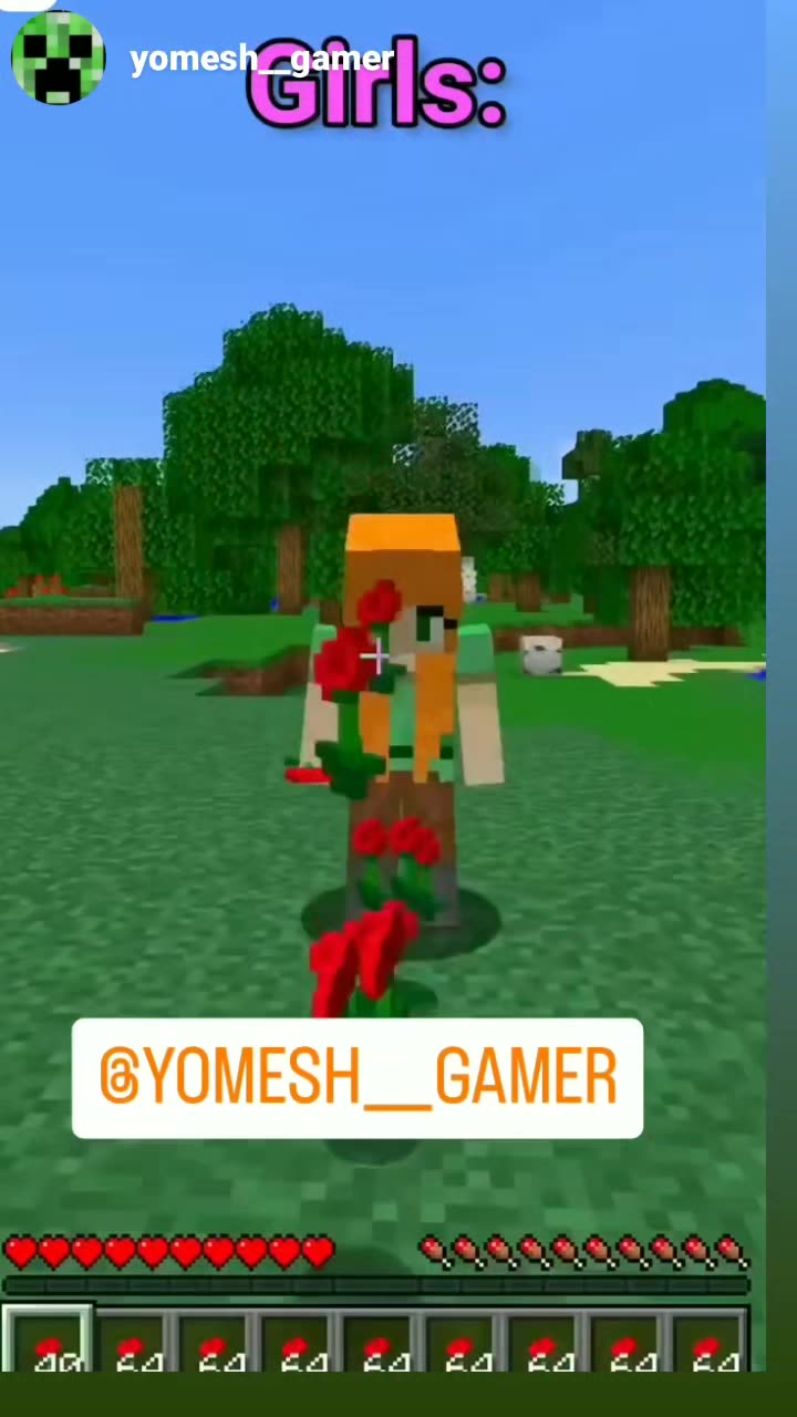 Girls playing Minecraft