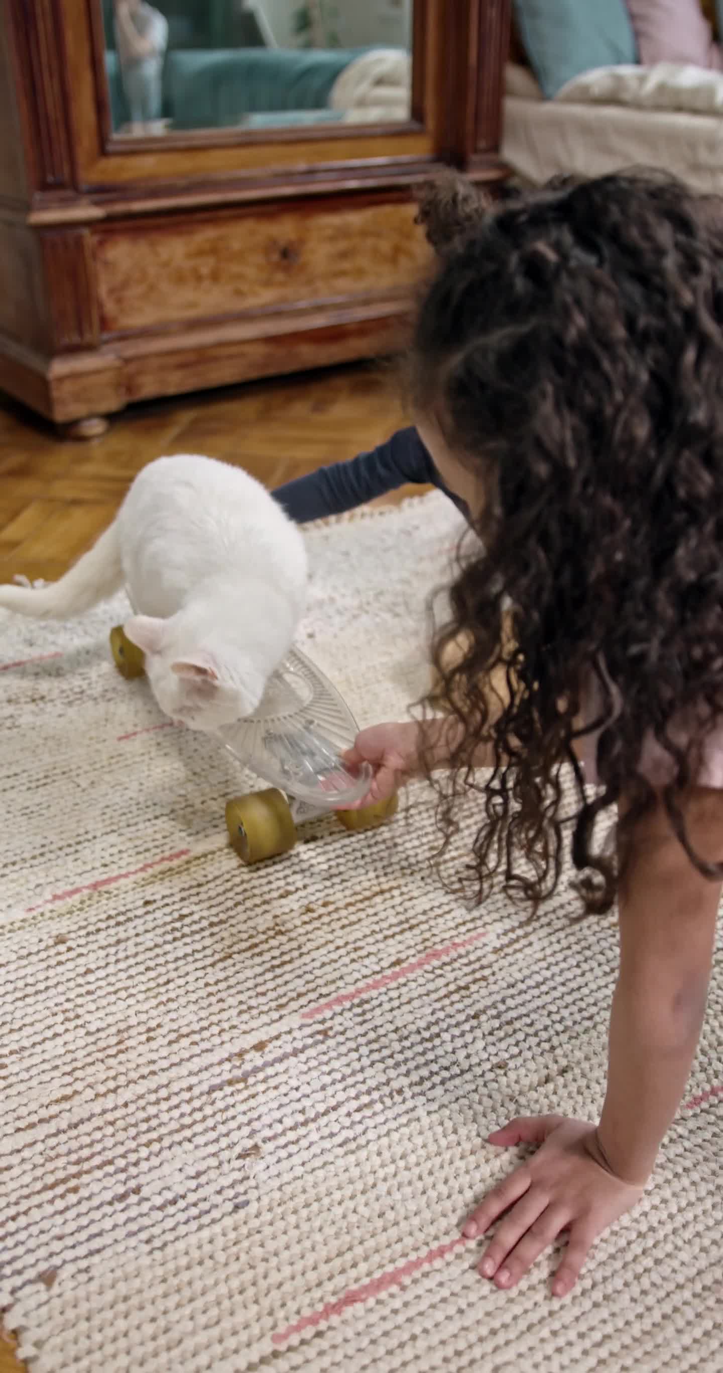 Two kids playing with cute cat on slide with wheel 🐱🐱🤪🤪