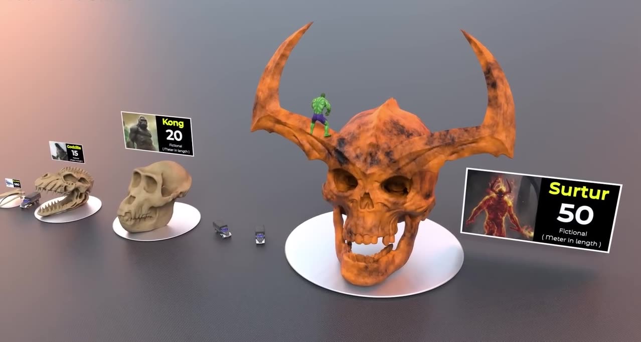 Skull Size Comparison | size Comparison | Biggest skull