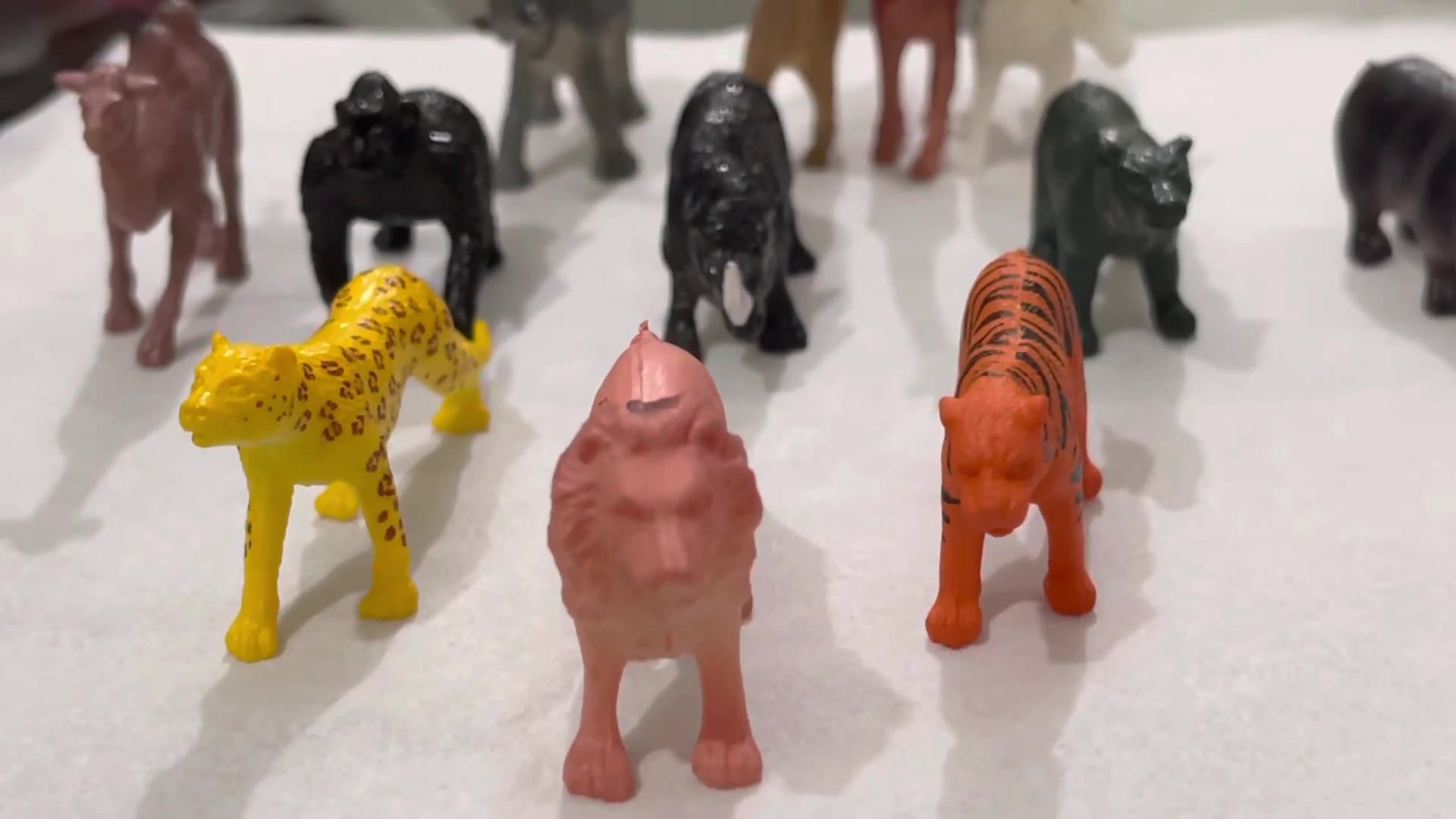 Wild animals lion elephant tiger leopard giraffe zebra gorilla camel ...