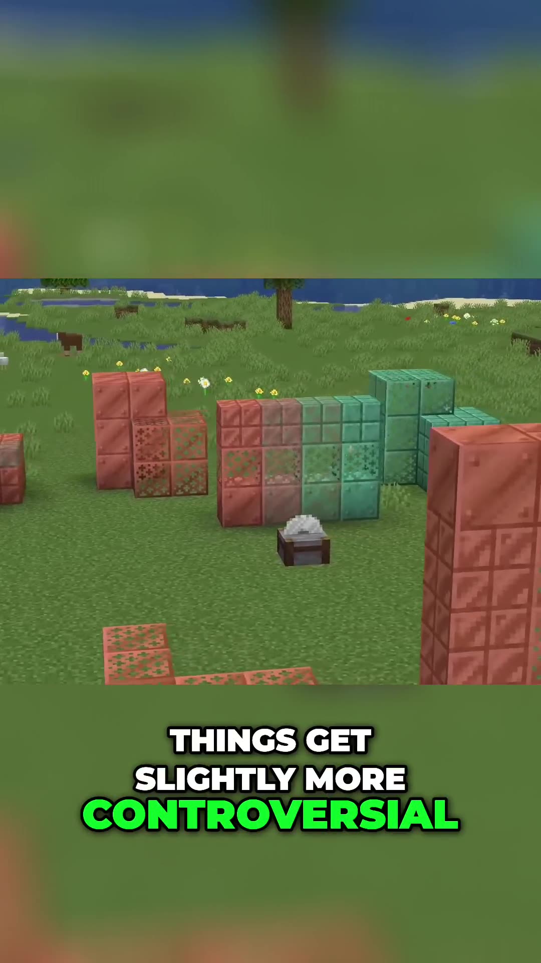 Exploring the Allure of Copper: Aesthetic Delights and Controversies