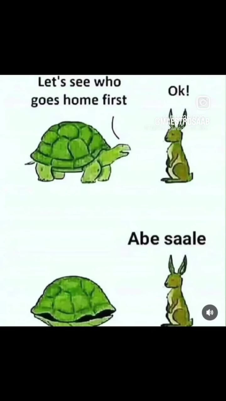 #meme #funny #viral #turtle #rabbit