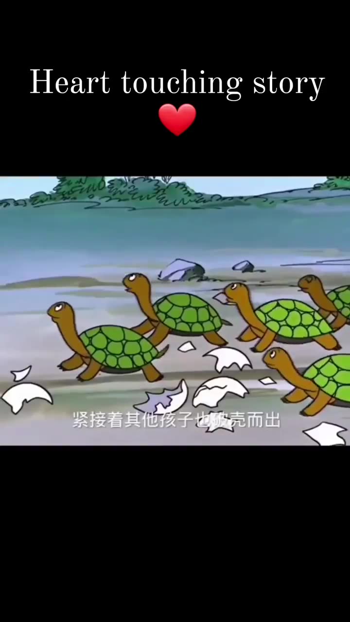 Animation cartoon