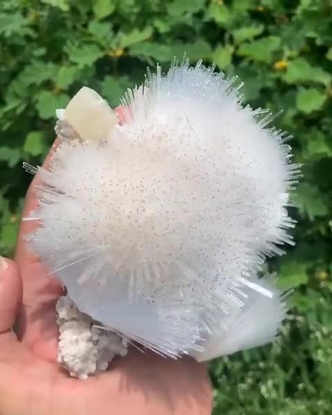 Nature’s Needles!These Mesmerizing Acicular Crystals Are Mesolite~A ...