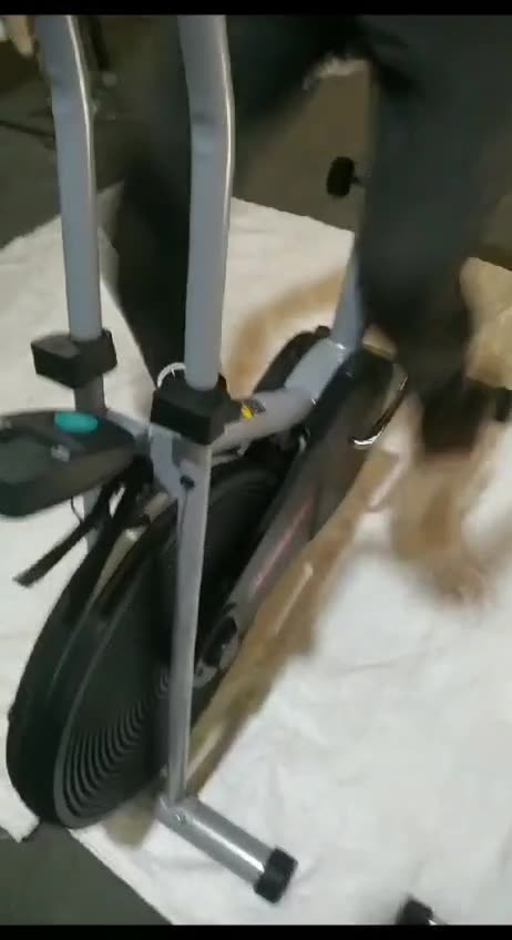 Exercise Static Stationary Physiotherapy Rehabilitation Cycle