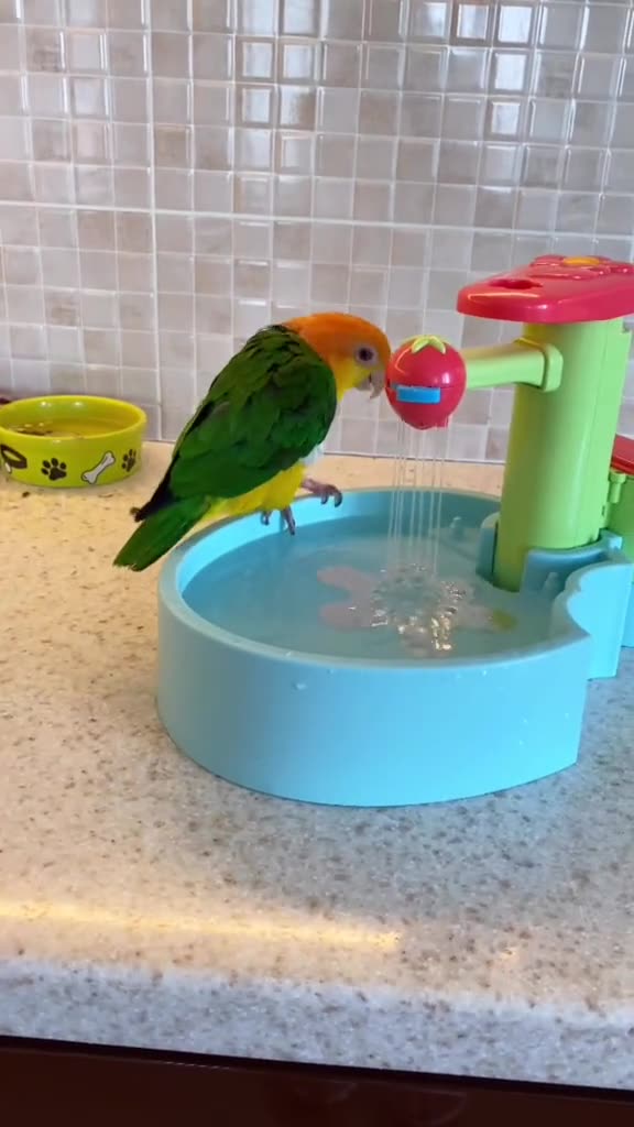 I have the swimming pool all to myself 😊😍